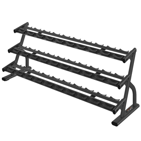 Life Fitness 3-Tier Saddle Dumbbell Rack (5-75) | Life Fitness Shop