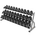 Life Fitness 3-Tier Saddle Dumbbell Rack (5-75) | Life Fitness Shop