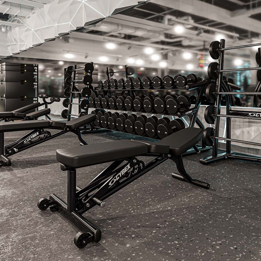 Workout Benches | Hammer Strength, Life Fitness, Cybex